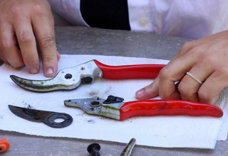 How to Maintain Pruning Shears - A Complete Guide